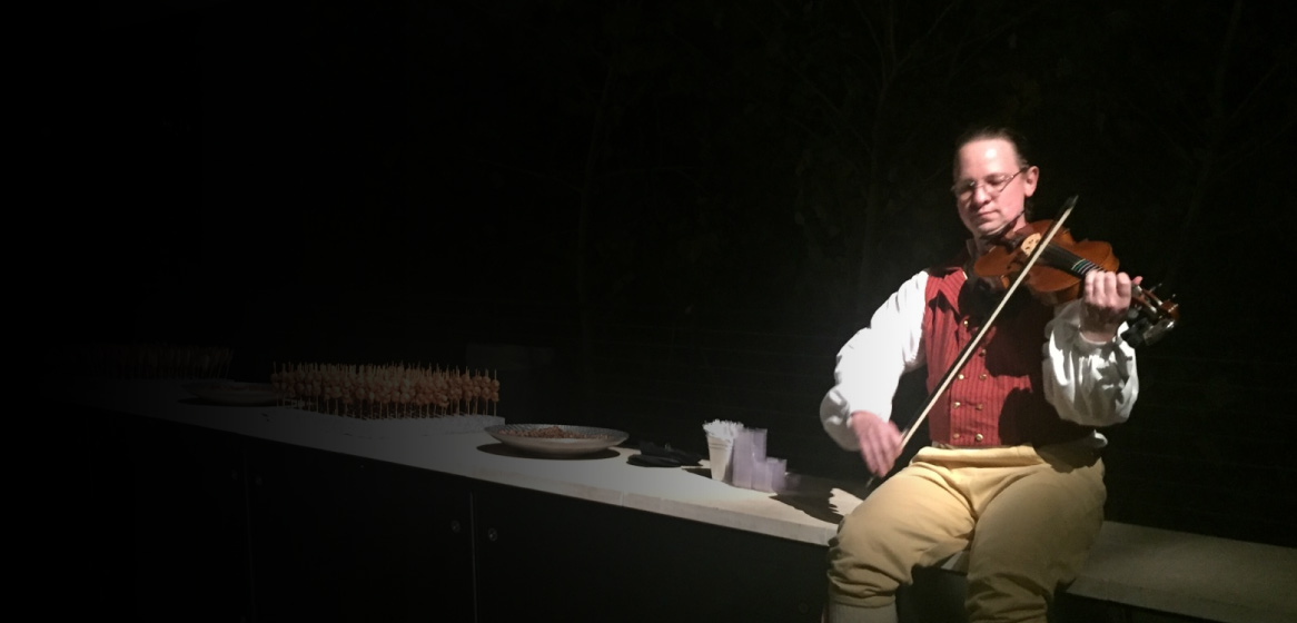 Gallery – Classical Fiddle